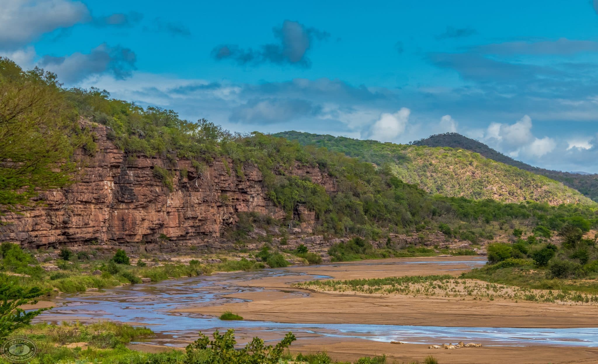 Magnificent Umfolozi Or Imfolozi Park Safari 2023